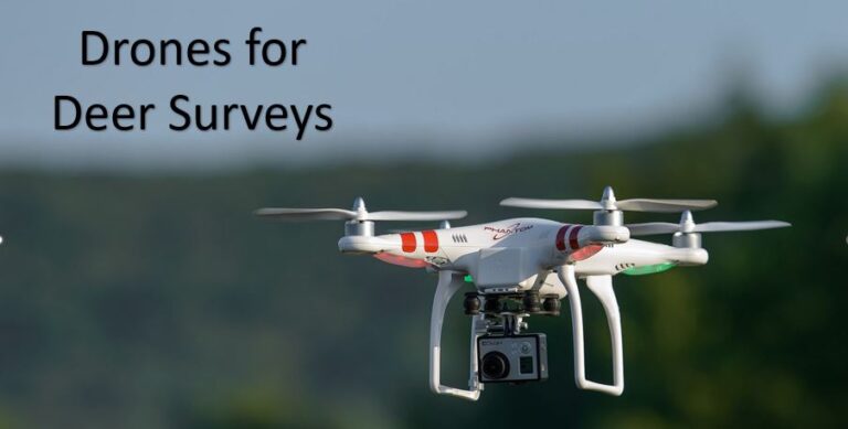 Drones for Deer Surveys | New Deer Survey Method Evaluated